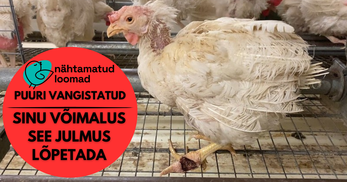 Lõpetame kanade puurispidamise